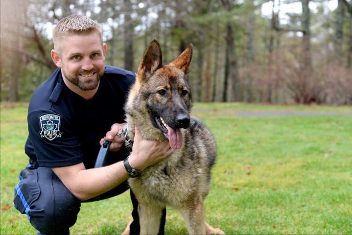 Five Jobs for a Police Dog - Get The Height!